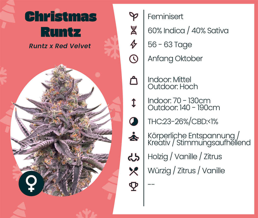 Cannabis Samen kaufen zu fairen Preisen | Hanfsamen | Seed Supplier