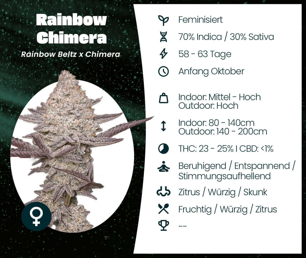 Cannabis Samen zum besten Preis | Hanfsamen | – Seed Supplier GmbH